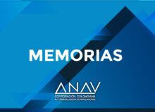 DECRETO 466 DE 2024 | ARAV