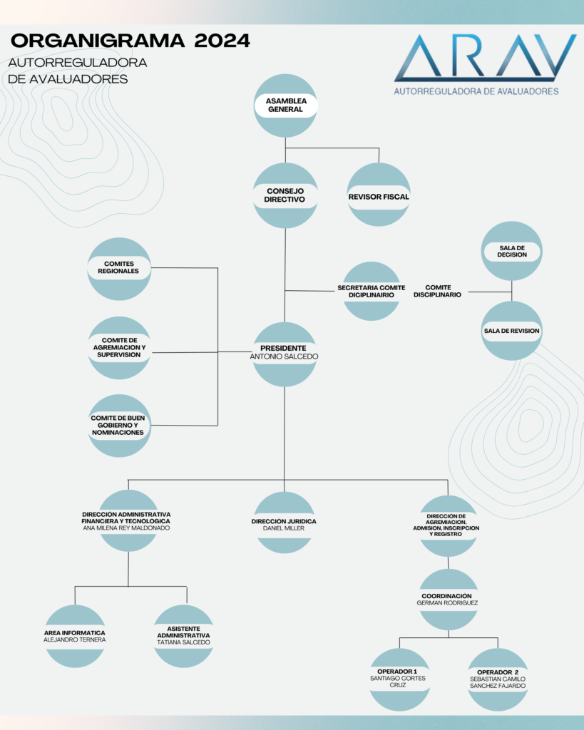 Estructura Organizacional – ARAV